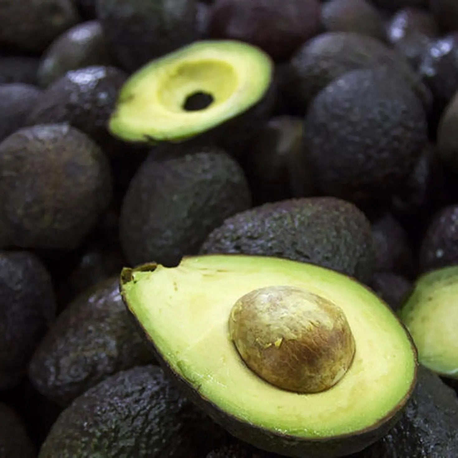 Australian Bulk Avocado Box – Fresh Avocados by the Case - Petits