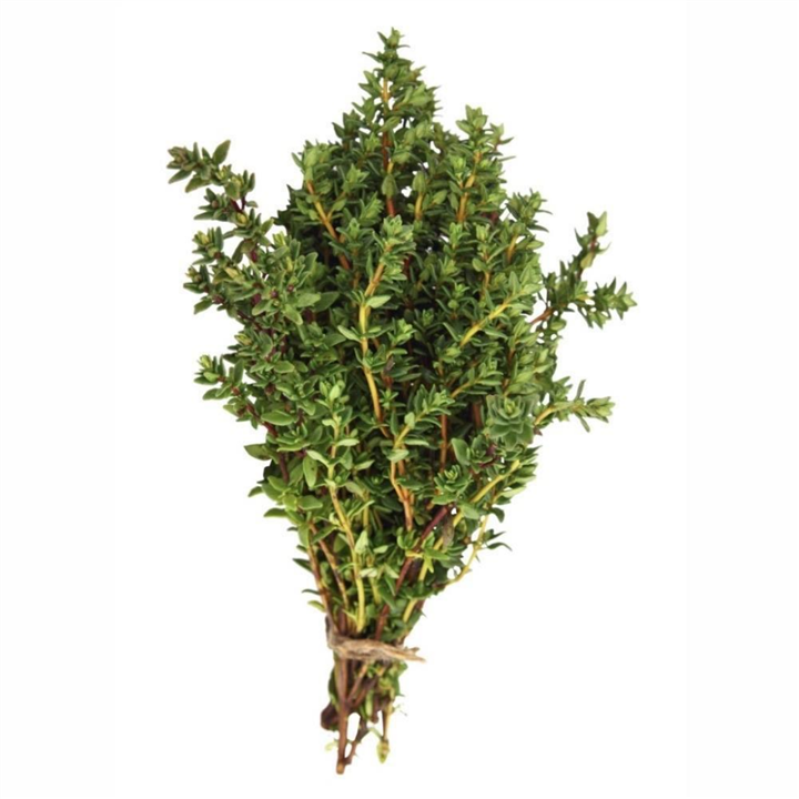 Premium Fresh Thyme Bunch – Aromatic Cooking Herb