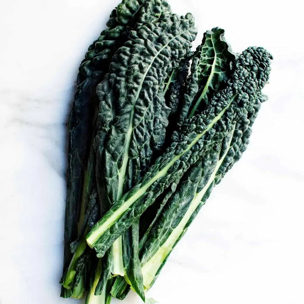 Australian Grown Tuscan Kale (Cavolo Nero) – Fresh Bunch